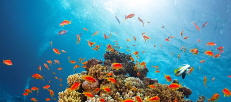 The Hidden Secrets of Egypt | Egypt Tourist Attractions
