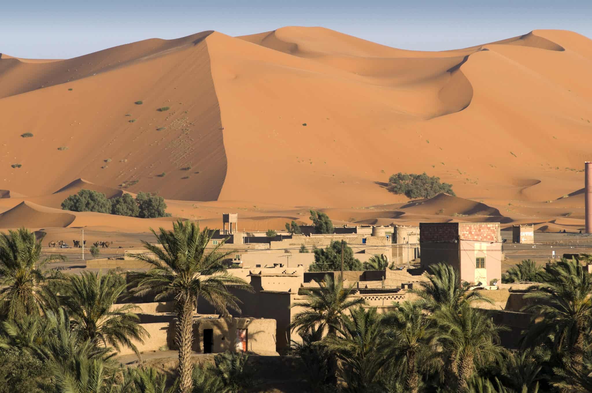 Why You Should Take a Sahara Desert Tour in Morocco